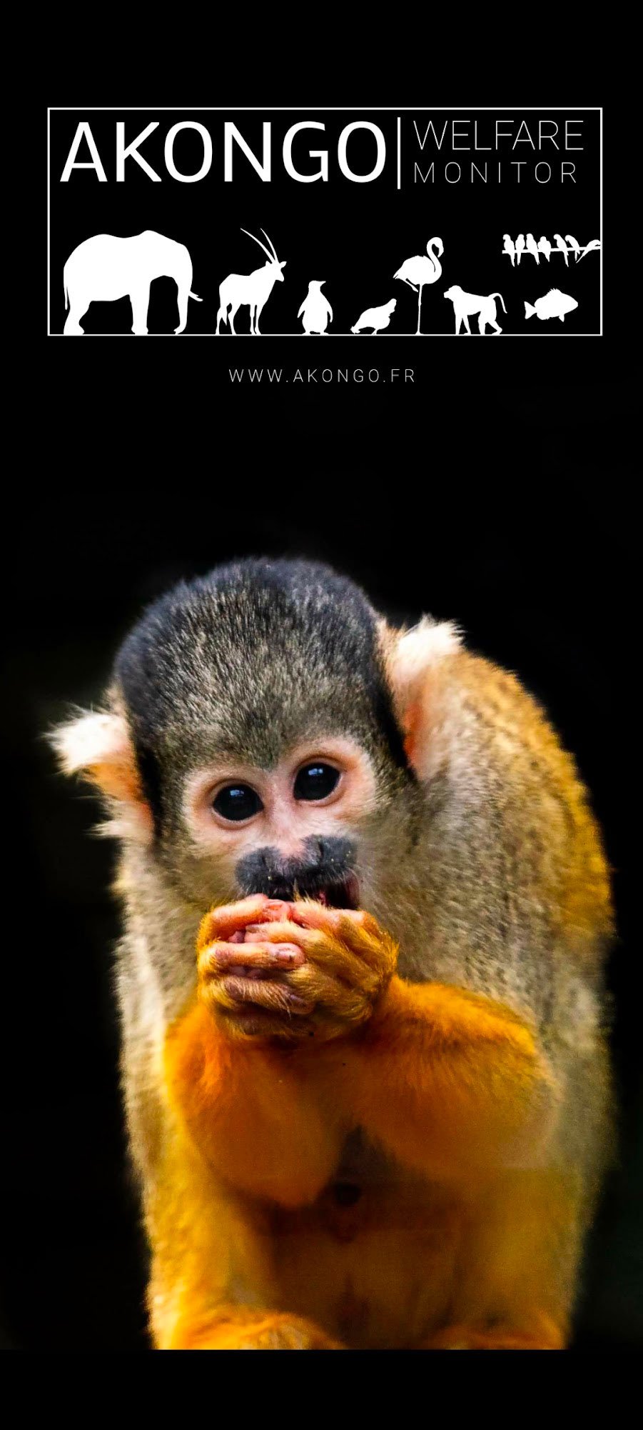 Akongo Welfare Monitor APK للاندرويد تنزيل