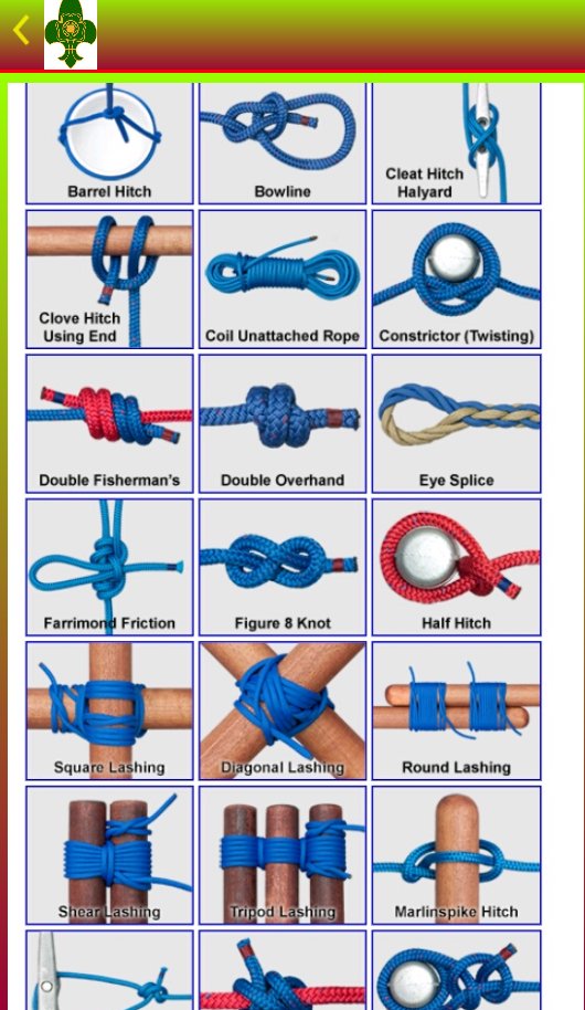 Bharat Scout And Guide Full course {BS&G COURSE} APK per Android Download