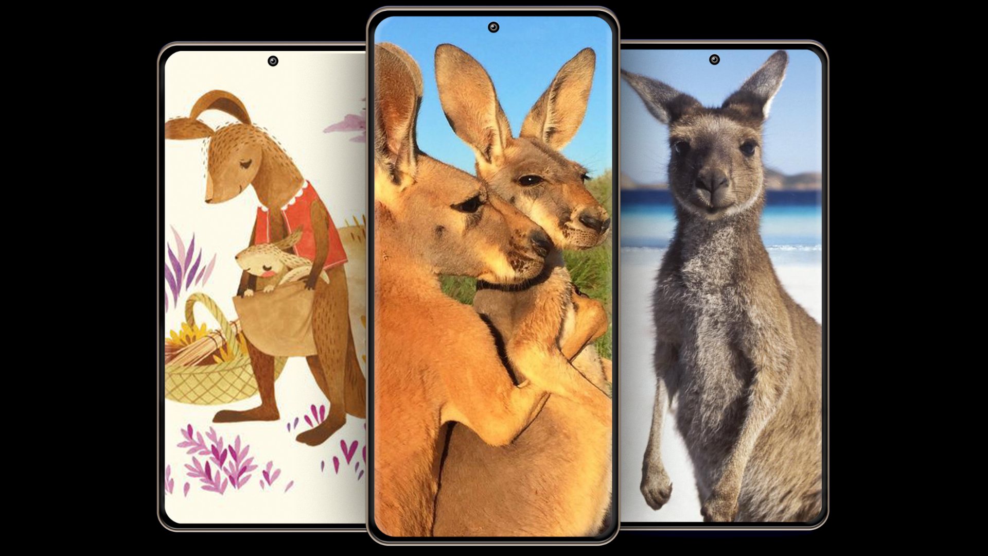 Kangaroo Wallpaper APK for Android Download