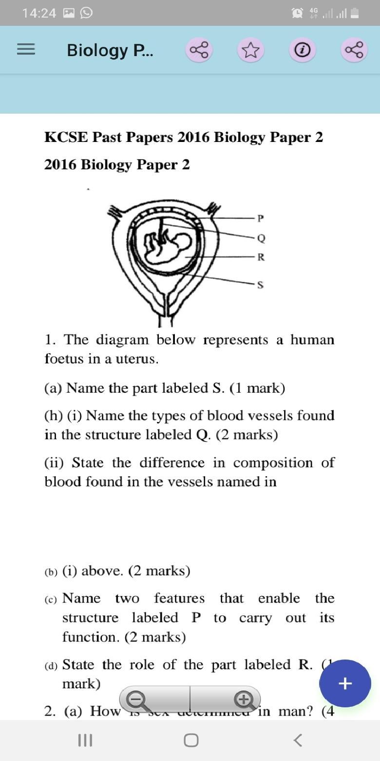 BIOLOGY KCSE PAST PAPERS APK For Android Download biology-kcse-past-papers-apk-for-android-download