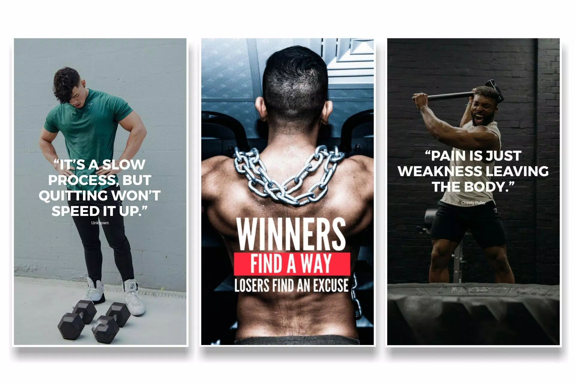 Bodybuilding Wallpapers With Quotes