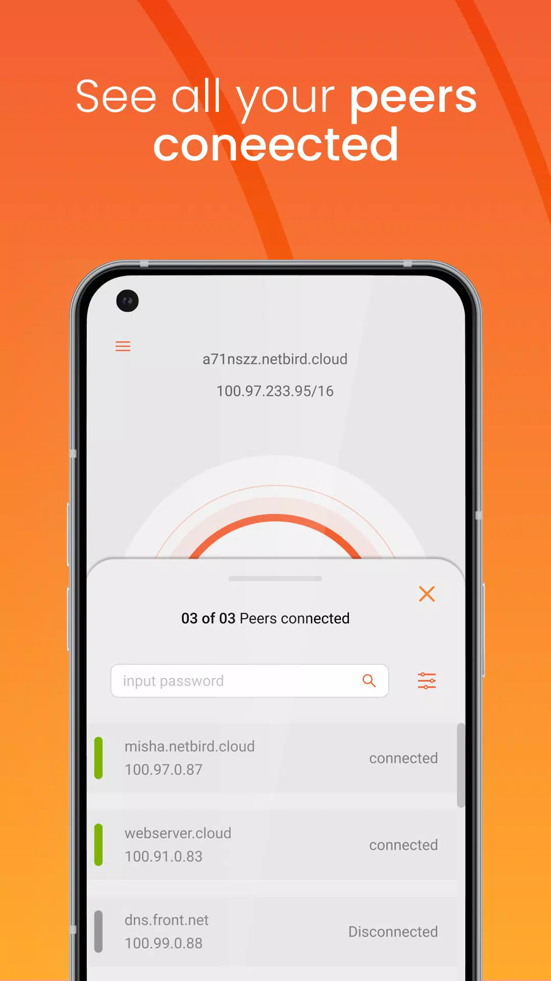 Download NetBird P2P VPN 0.1.7 APK for Android - Free and Safe Download