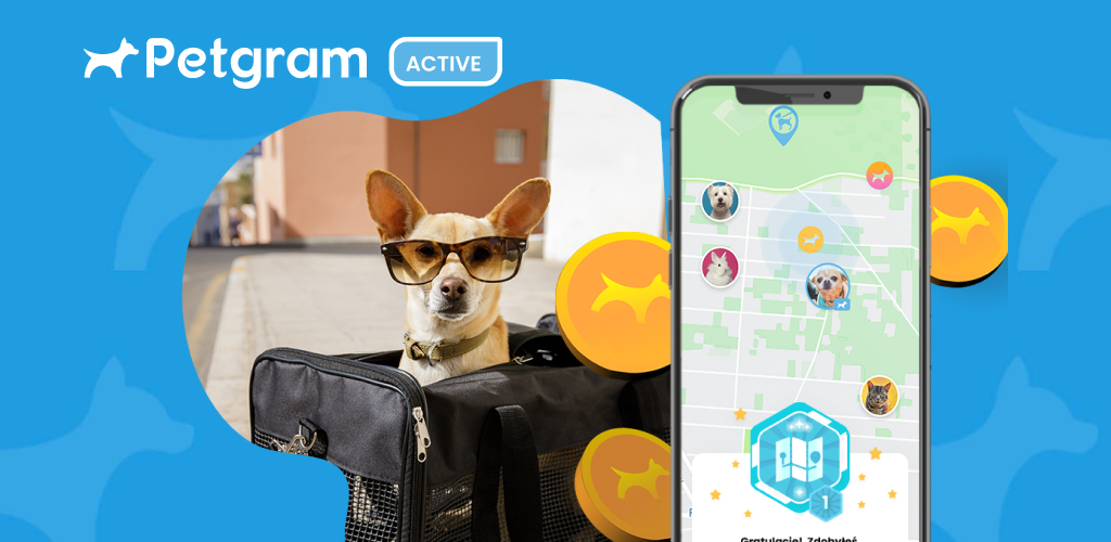 Как скачать последнюю версию Petgram на Android 2025