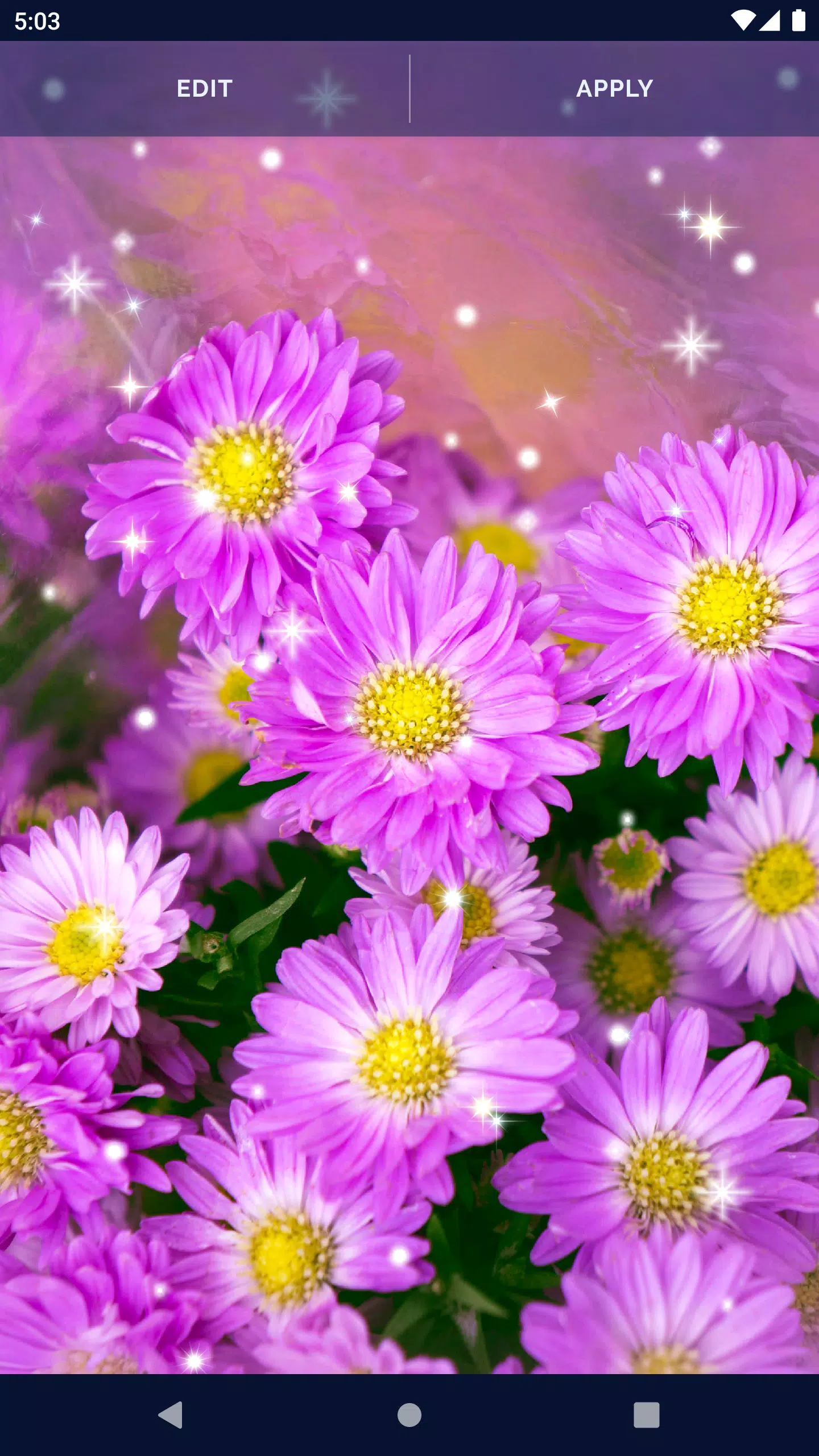 Beautiful 3d Moving Wallpapers For Mobile