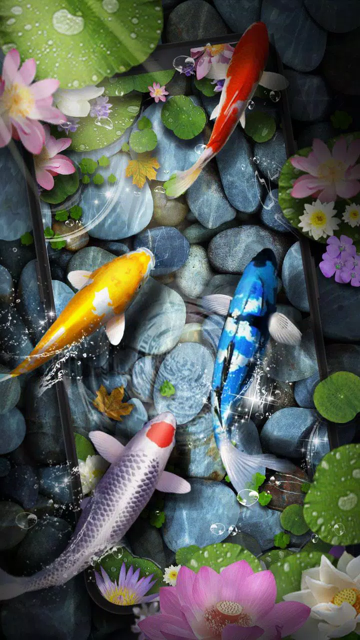 Koi Fish Pond Wallpaper