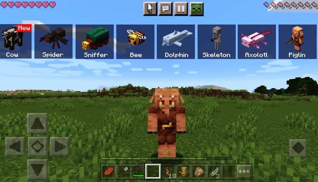 Morph Mastery Minecraft Skins APK for Android Download