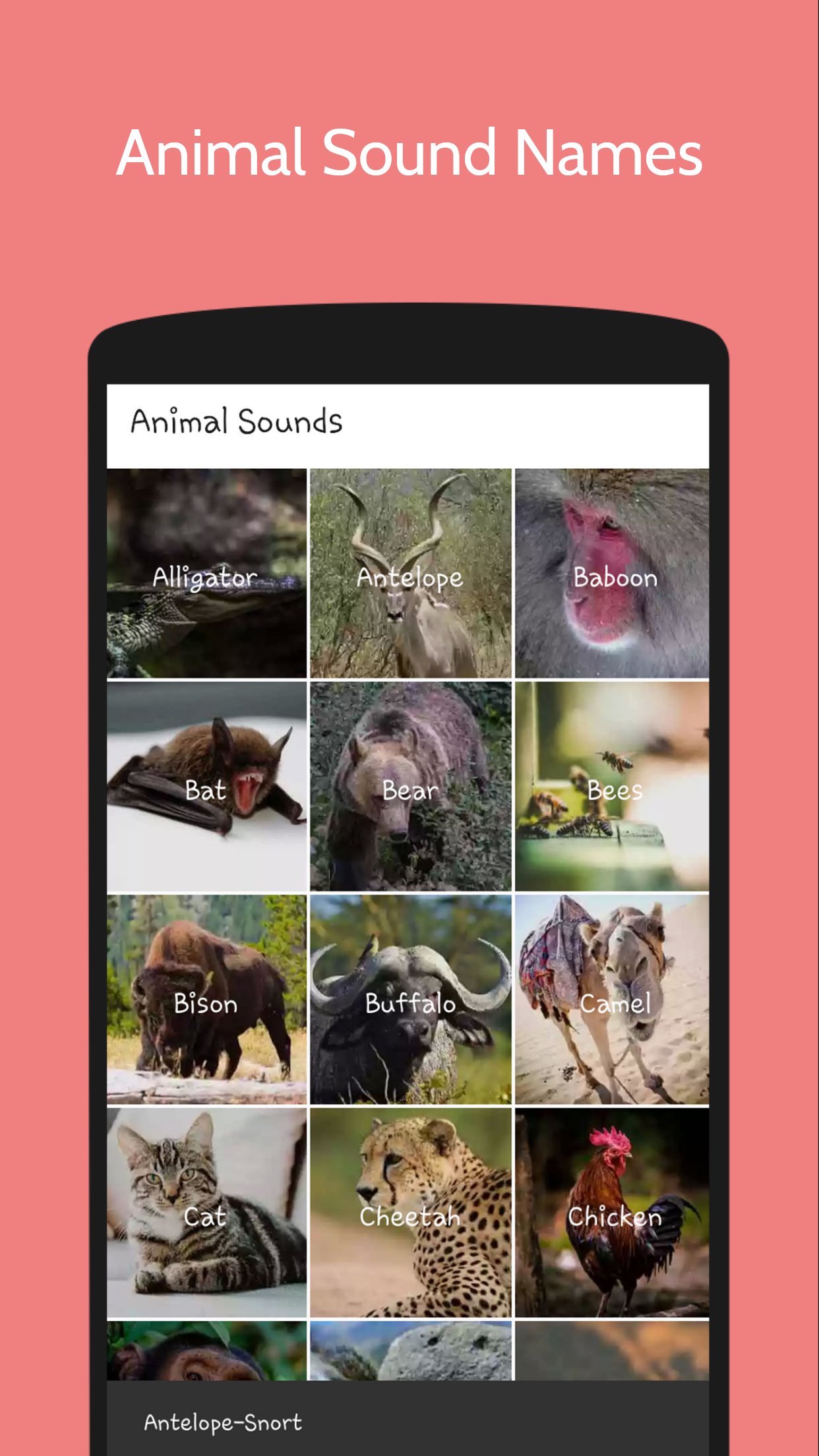 Animal Sounds APK for Android Download