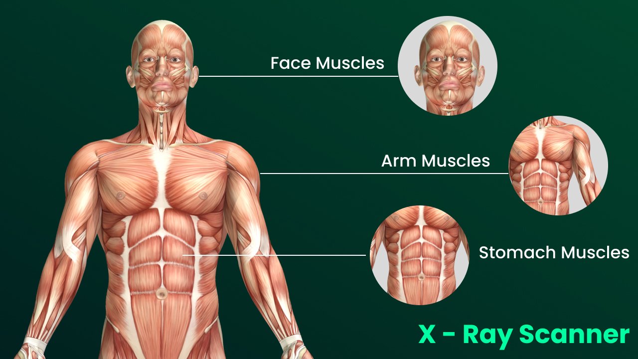 Camera Scanner -Body Simulator APK for Android Download