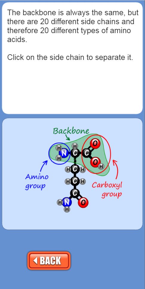 Amino Acids Match Game APK for Android Download