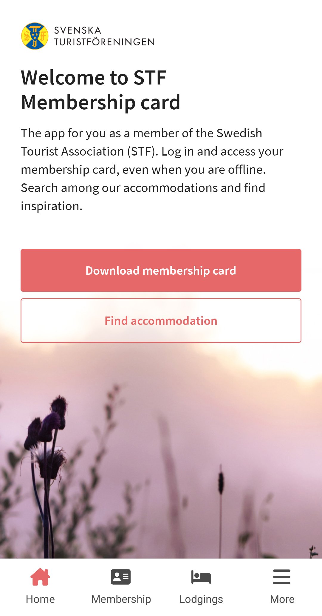 Download STF 2.0 Android APK File