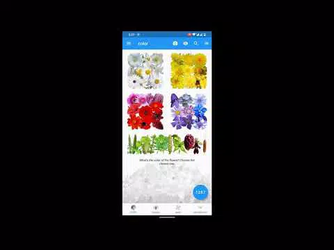 Top 10 Plant Apps and Flower Identification Apps