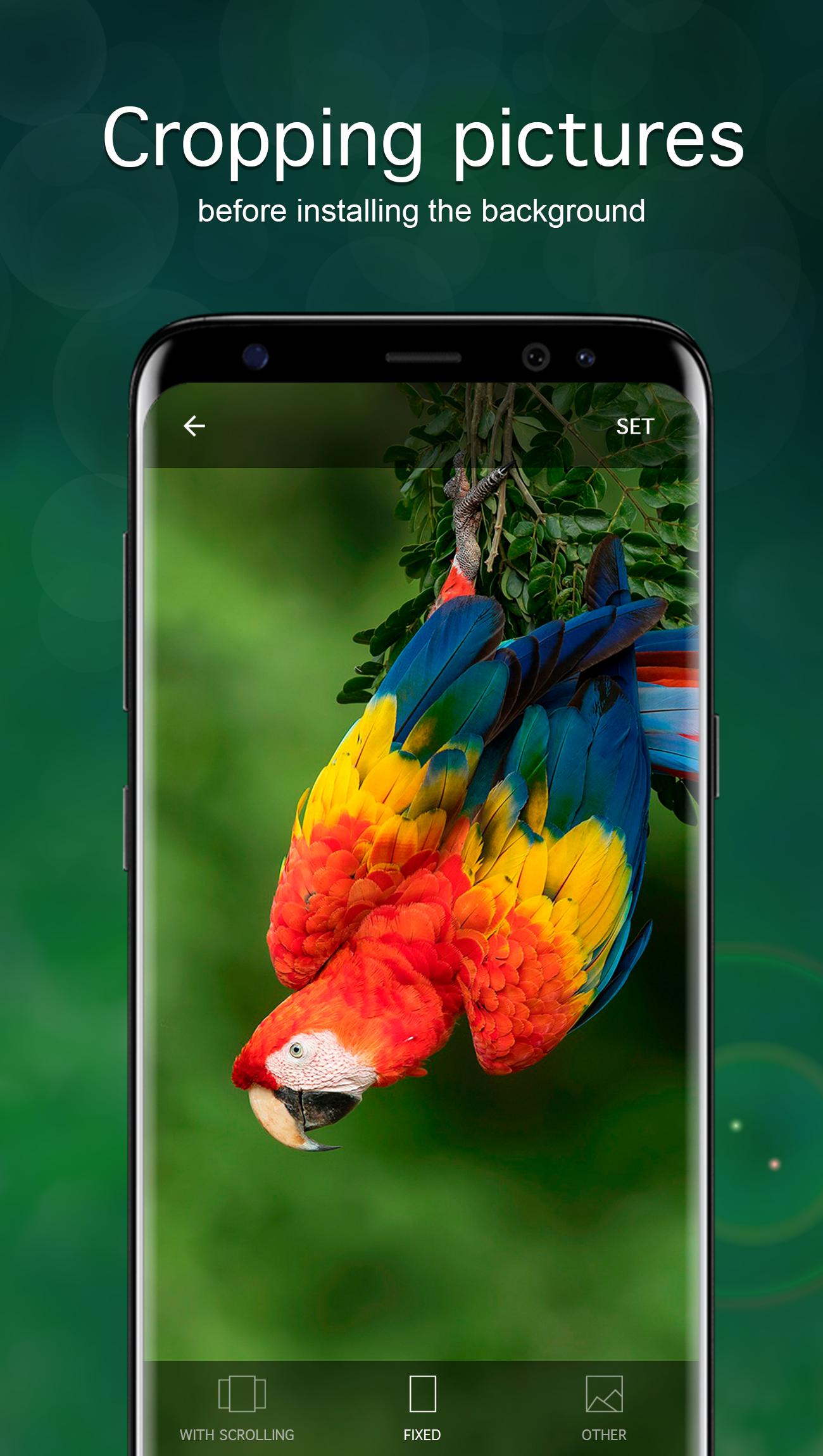 Parrot Wallpapers 4K APK parrot-wallpapers-4k-apk