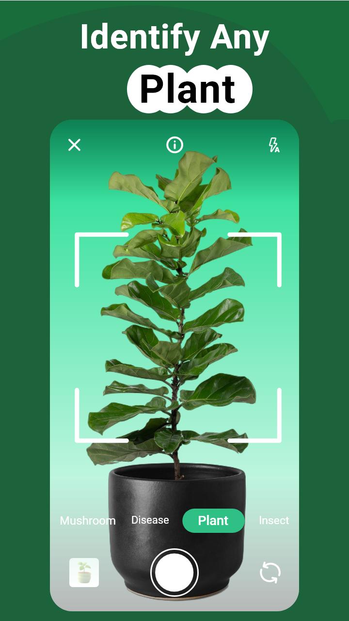 Plant Identifier APK Download for Android - Latest Version Plant Identifier APK Download for Android - Latest Version