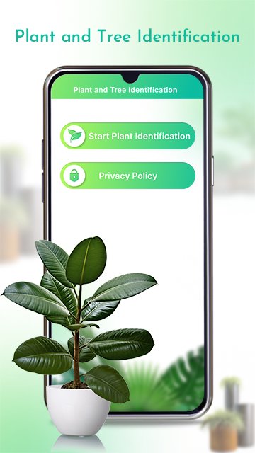 Plant and Tree Identification APK for Android Download