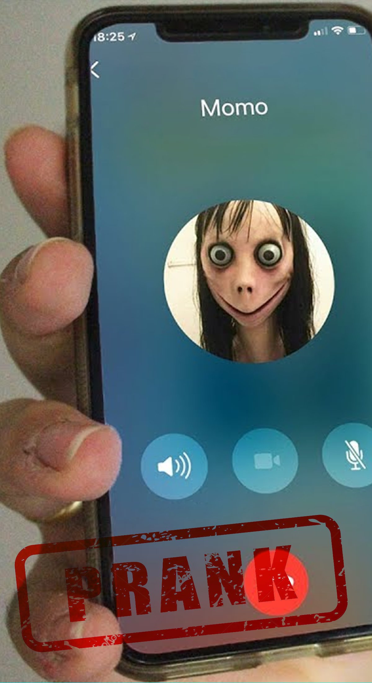 Momo Fake Call and Video Prank APK for Android Download