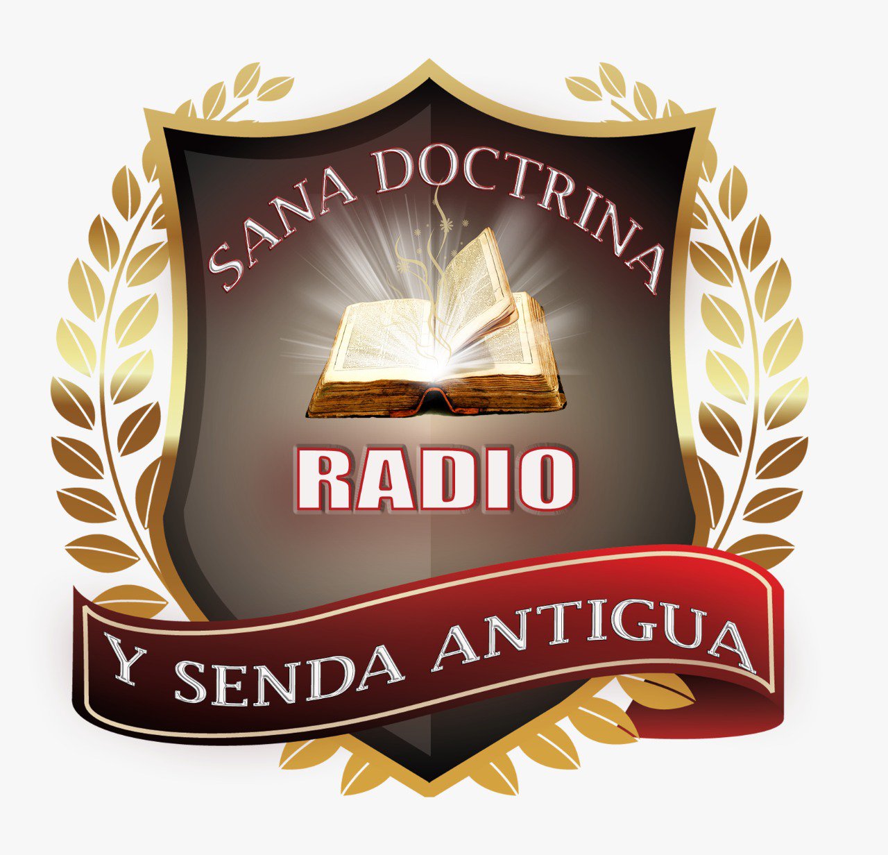 RADIO SANA DOCTRINA APK for Android Download