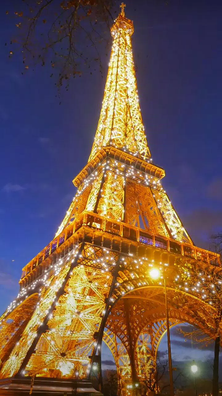 The Eiffel Tower At Night Wallpaper