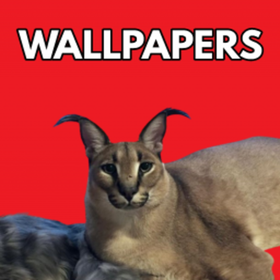 Descargar Wallpapers Floppa APK Última Versión 9.8 para Android