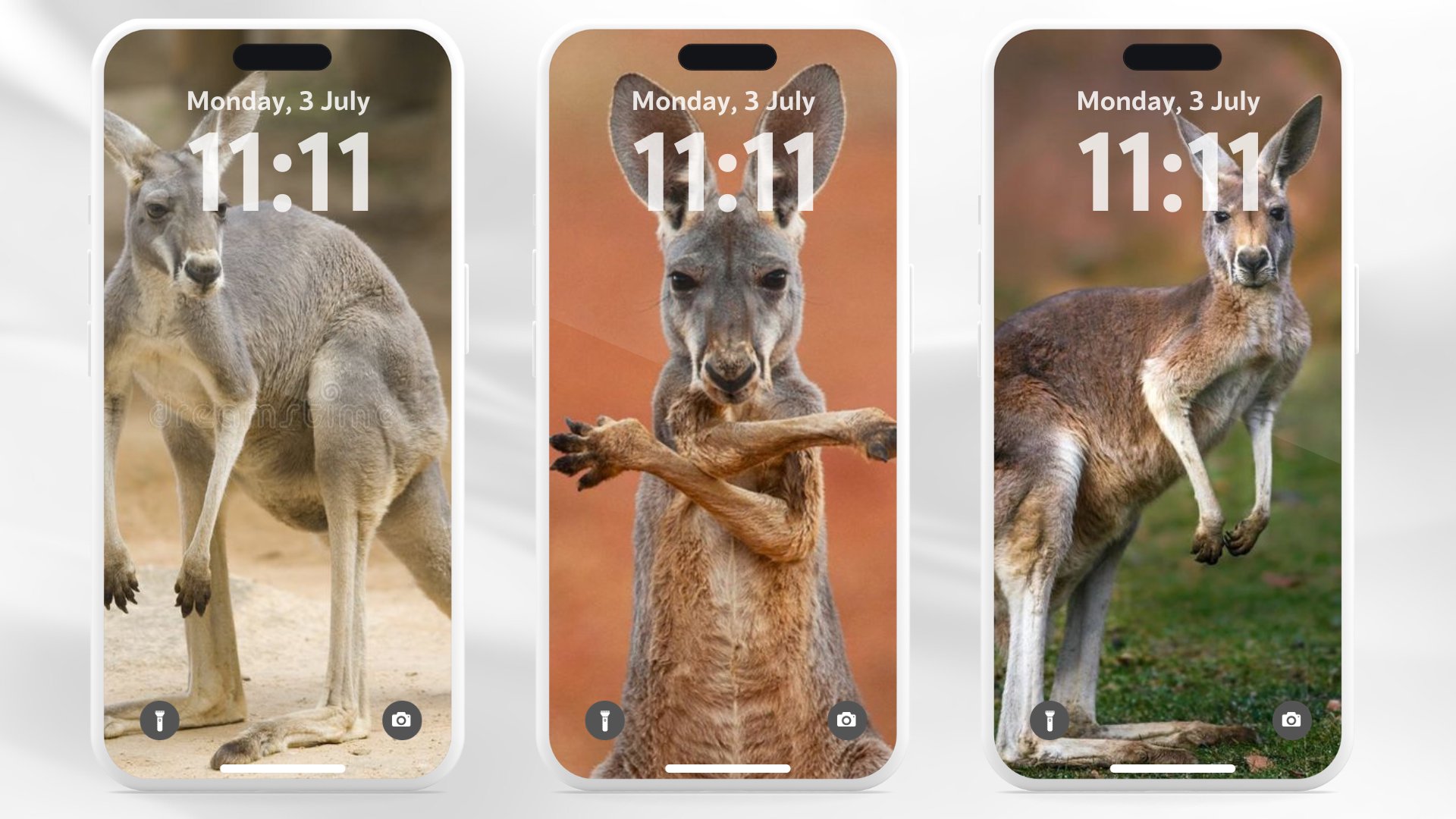 Kangaroo Wallpaper APK for Android Download
