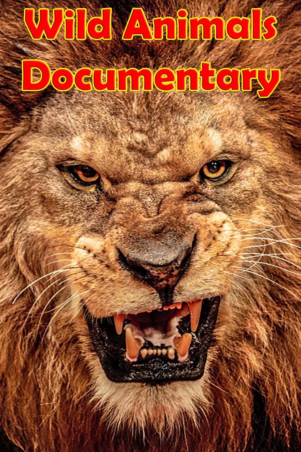 Download Wild Animals Documentary Online 🎥 Latest Version 1.0.1 Android ...