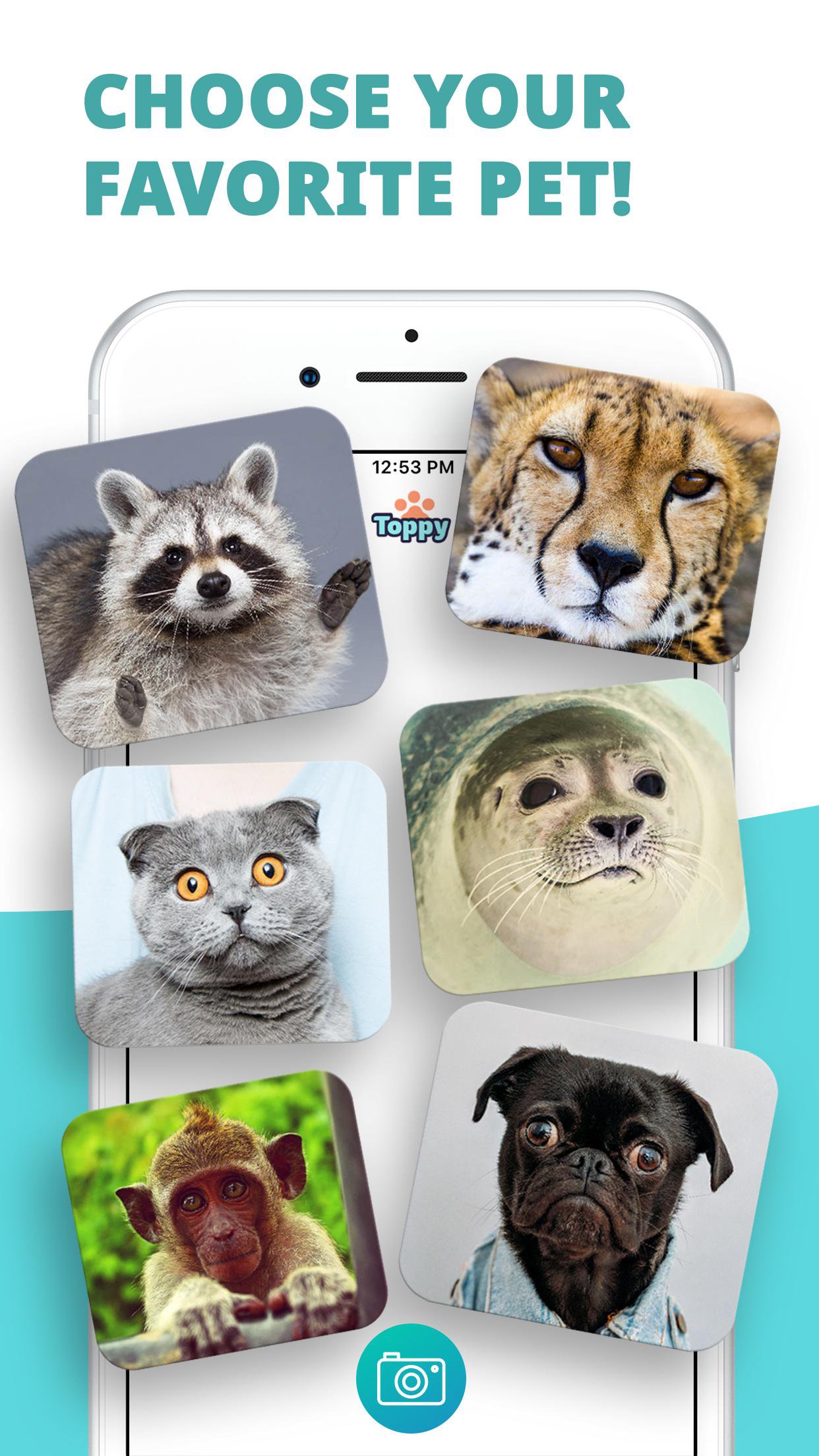 Talking Animals for Android - APK Download