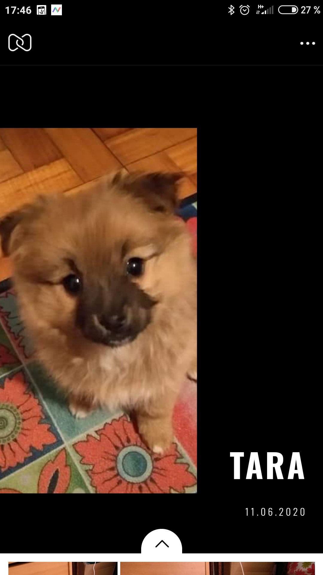 TARA APK for Android Download