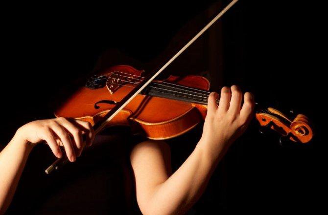 🎻 Learn to play violin 🎻 APK for Android Download