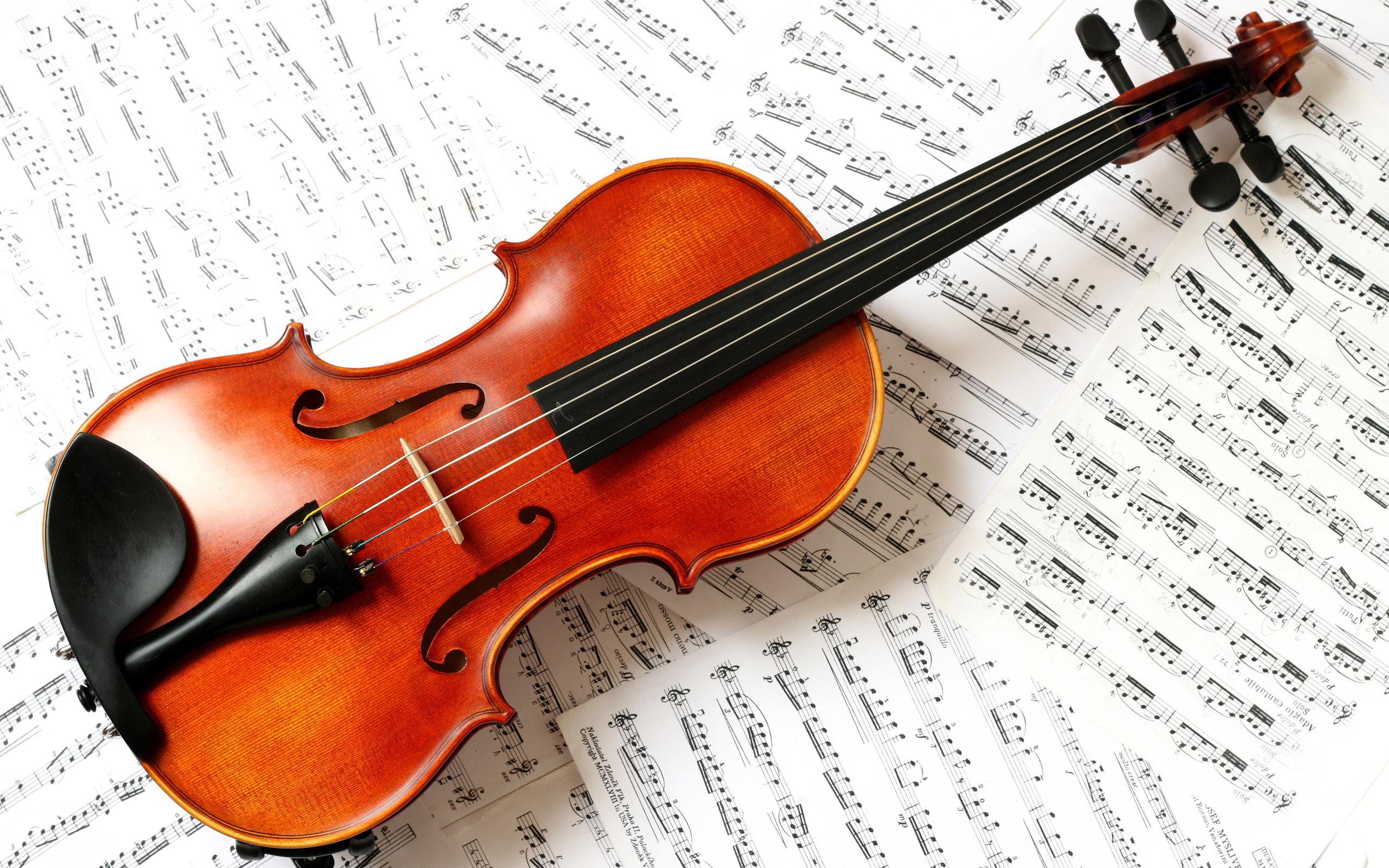 🎻 Learn to play violin 🎻 APK for Android Download