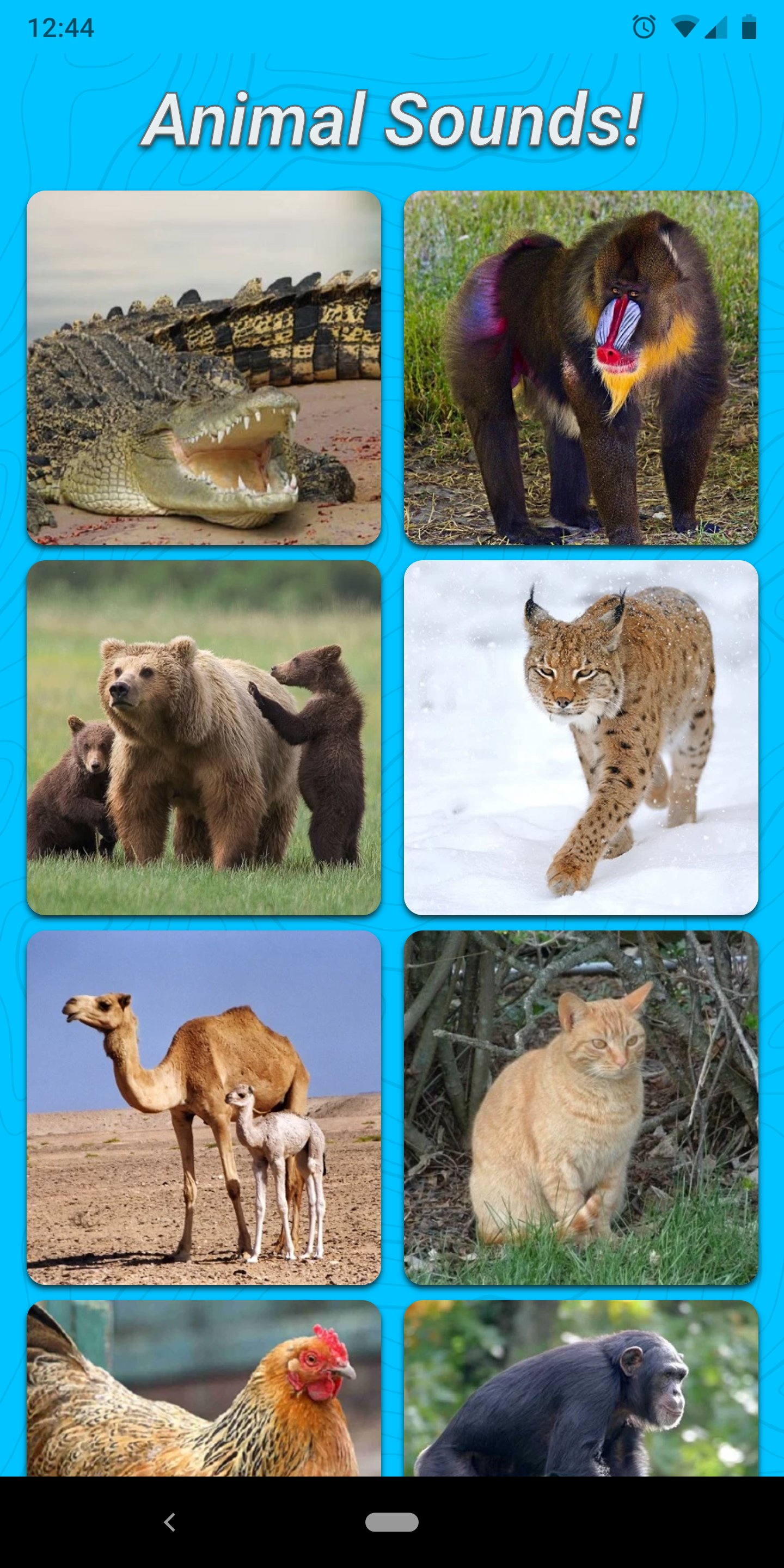 Download Animal Sounds! Latest Version 1 Android APK File