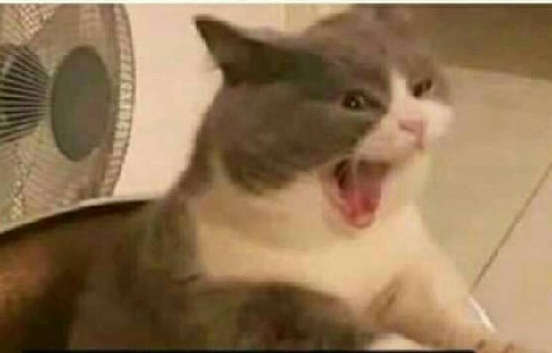 Diana Paola Quiroz Gutierrez add a post under Wallpaper 4K HD ...